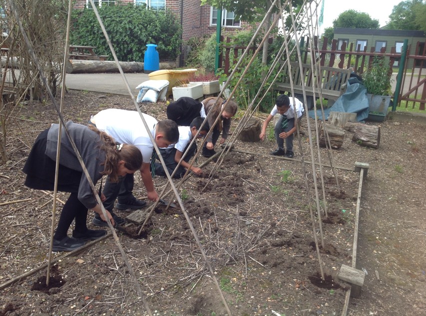 School Ground Development – Our Schools, Our World